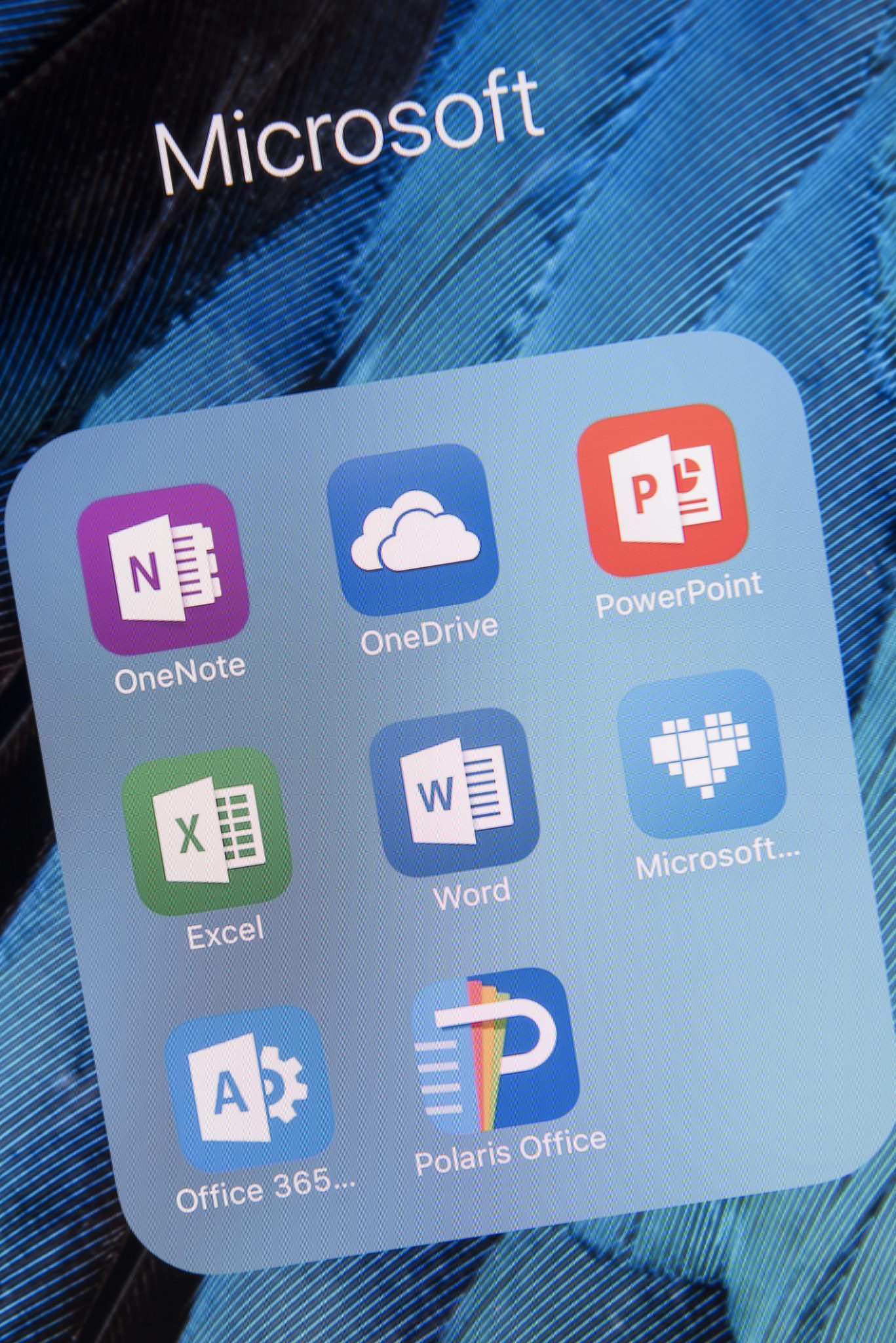 Microsoft 365 Spotlight: OneDrive for Business